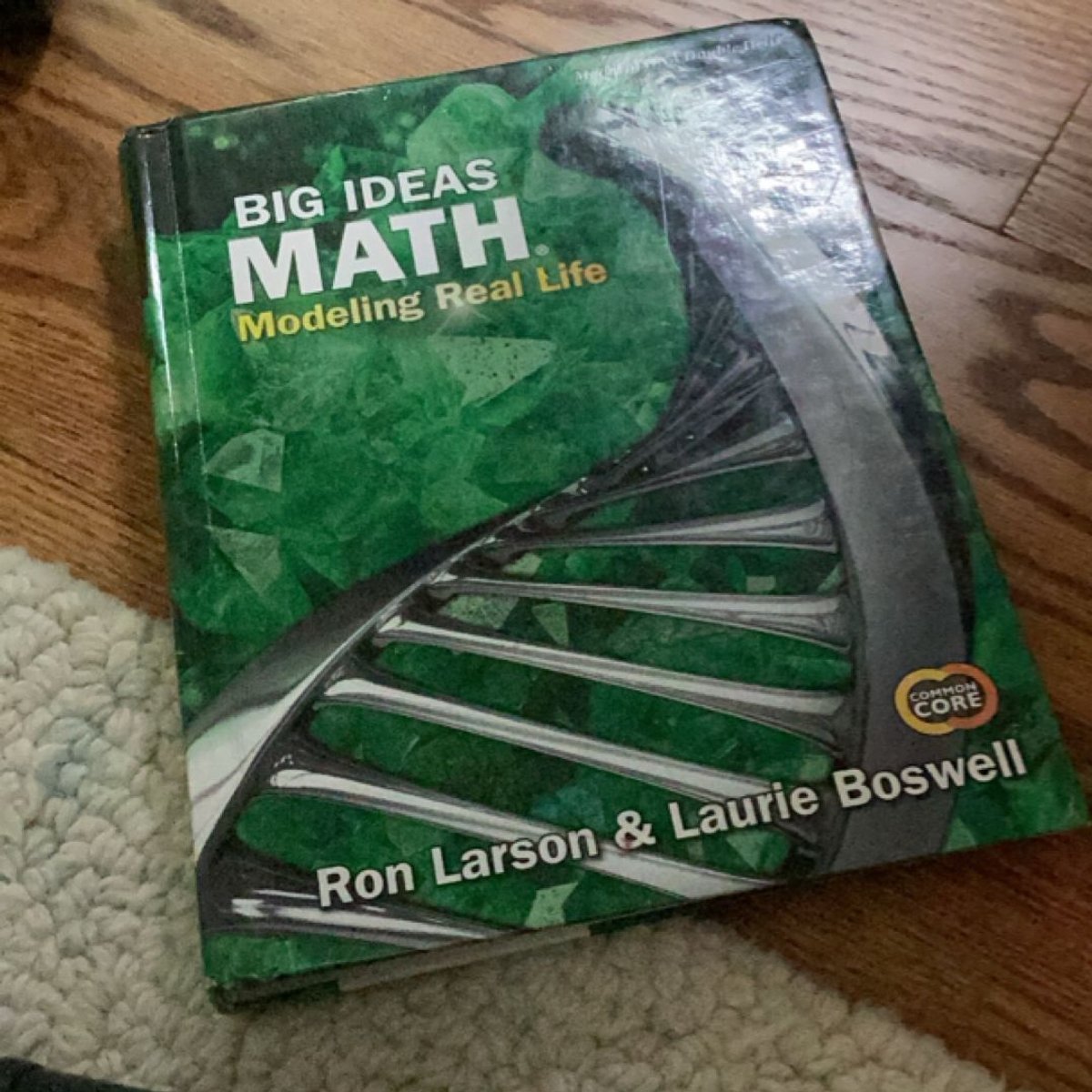 Big Ideas Math: Modeling Real Life Common Core - Grade 6 Student ...