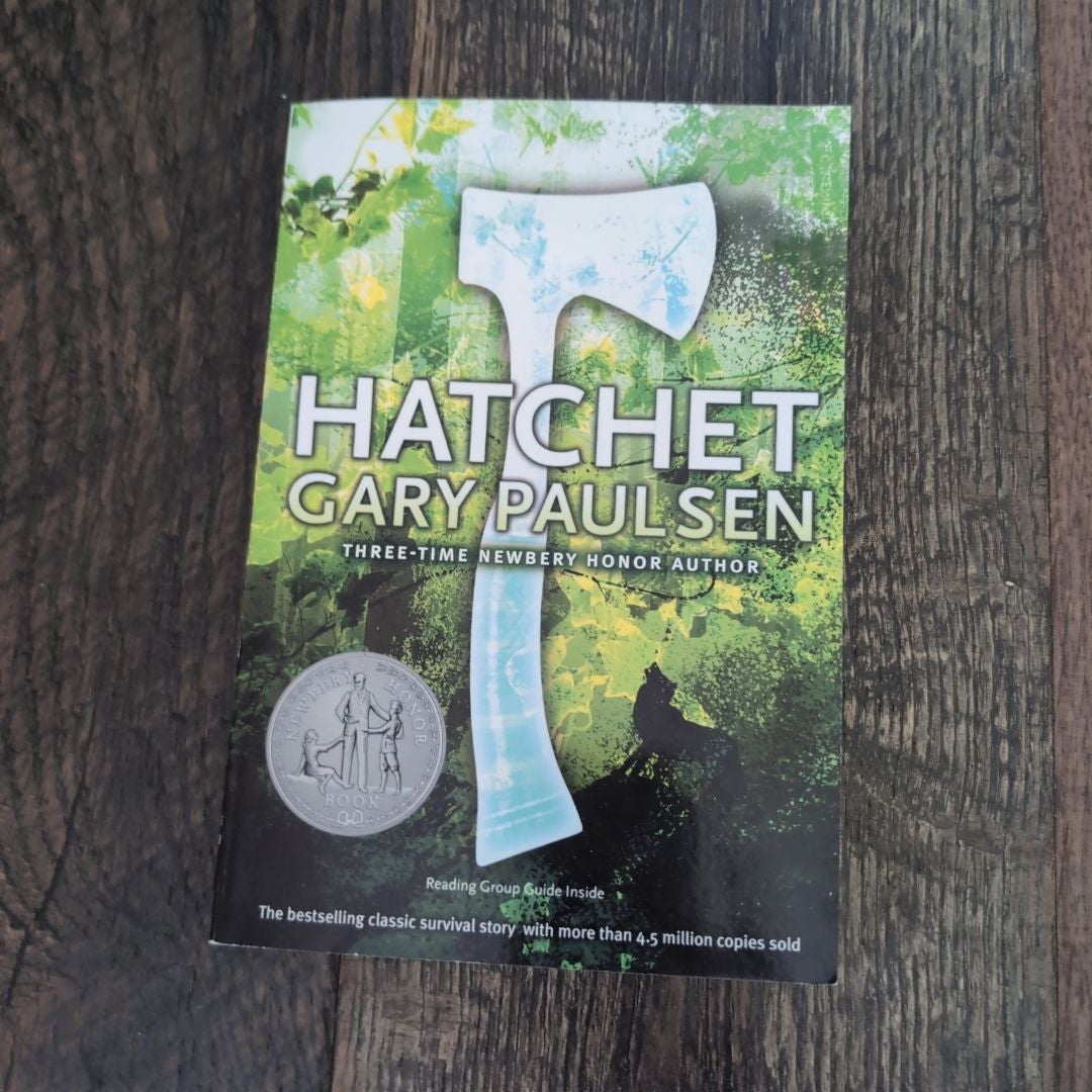 Hatchet by Gary Paulsen, Paperback | Pangobooks