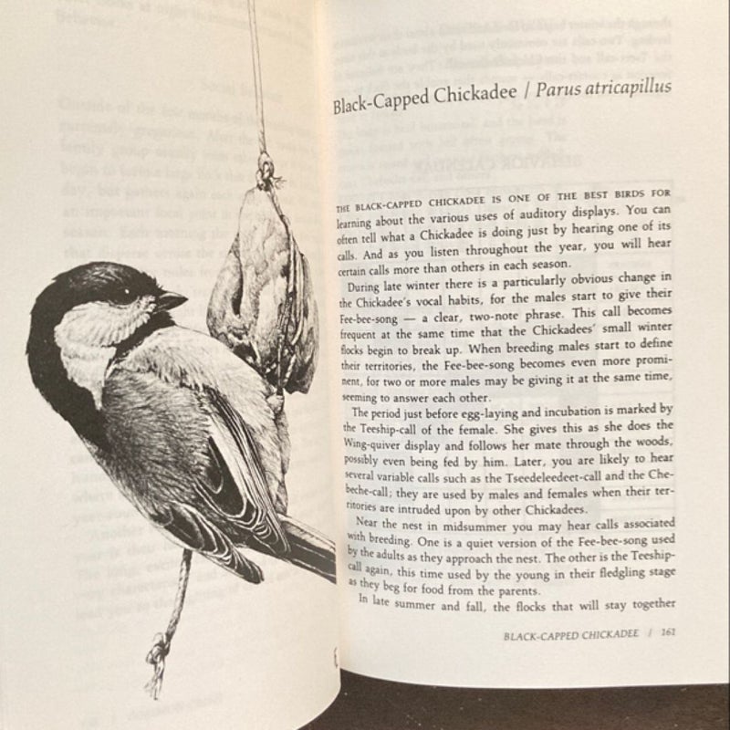 A Guide to Bird Behavior by Donald Stokes, Lillian Stokes