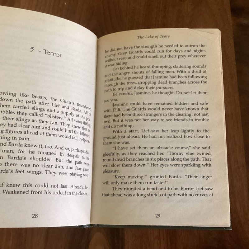 The Lake of Tears by Emily Rodda