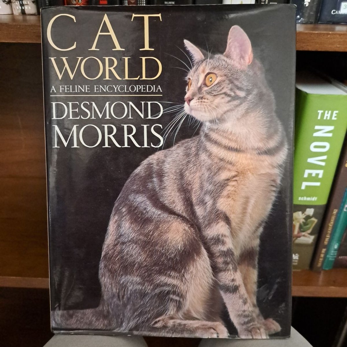 Cat World by Desmond Morris