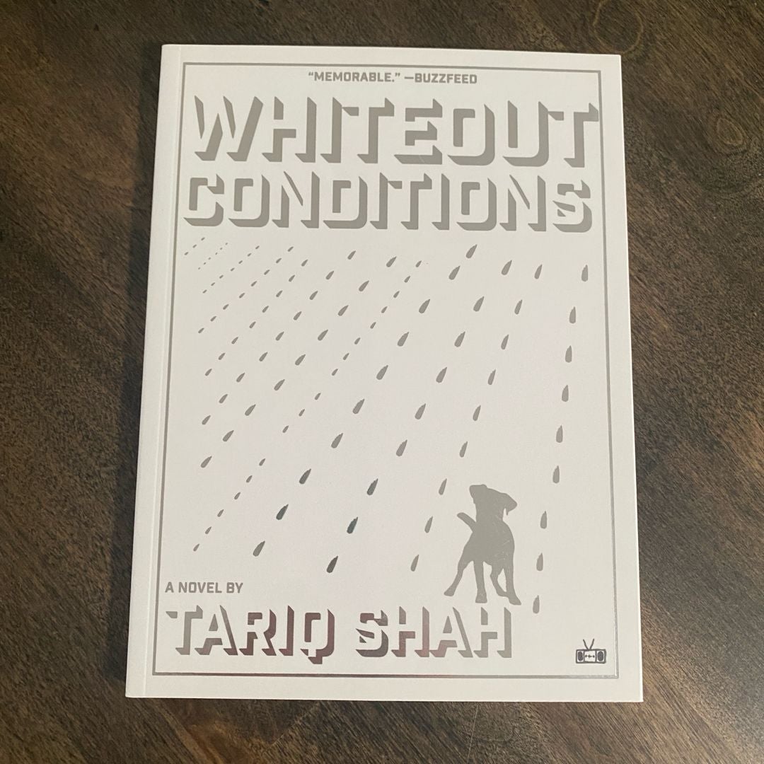 Whiteout Conditions by Tariq Shah