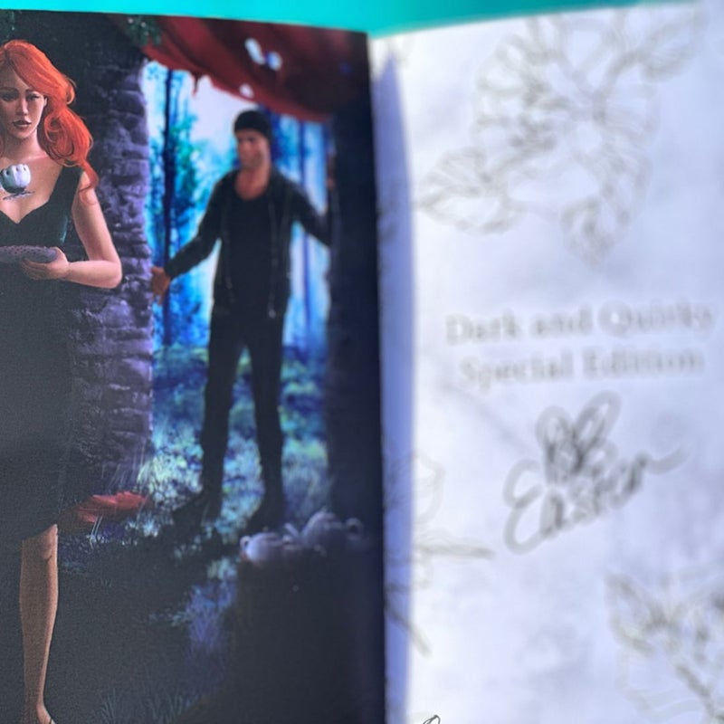 SIGNED Special Edition Devil of Dublin by BB Easton by BB Easton , Hardcover | Pangobooks