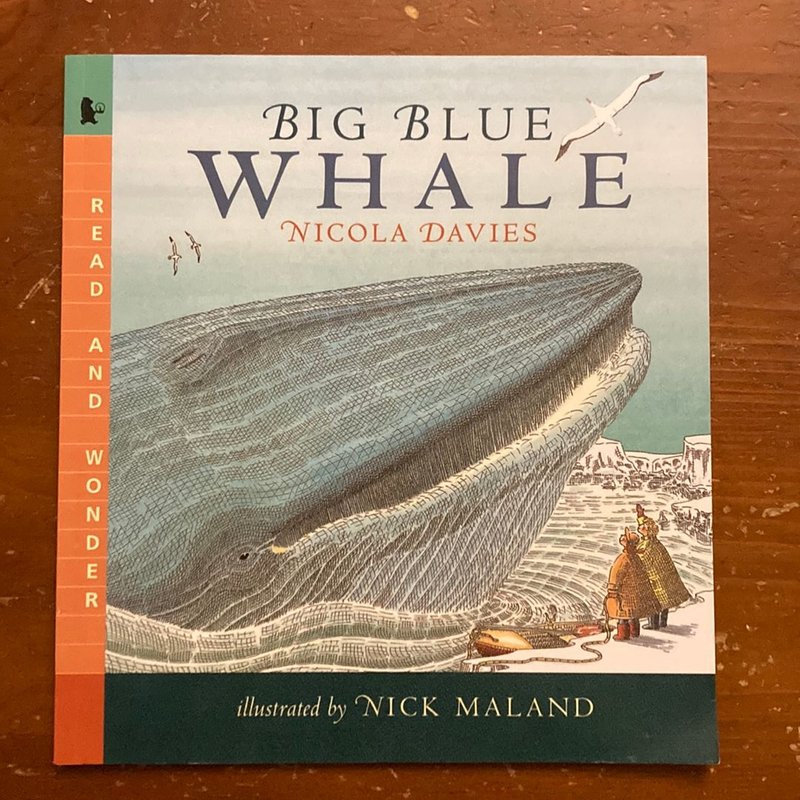 Big Blue Whale by Nicola Davies