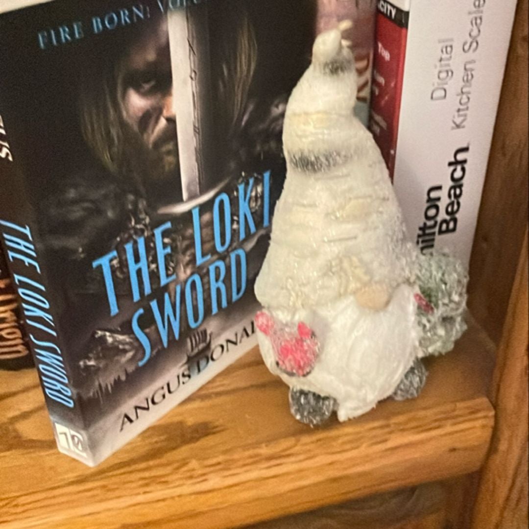 The Loki Sword by Angus Donald