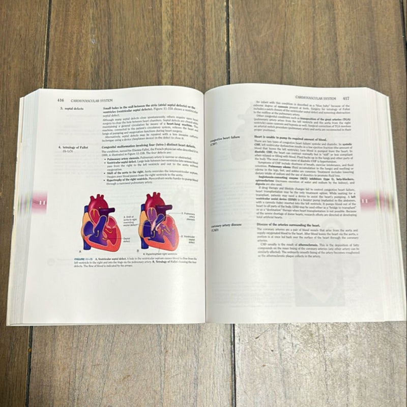 The Language of Medicine by Davi-Ellen Chabner