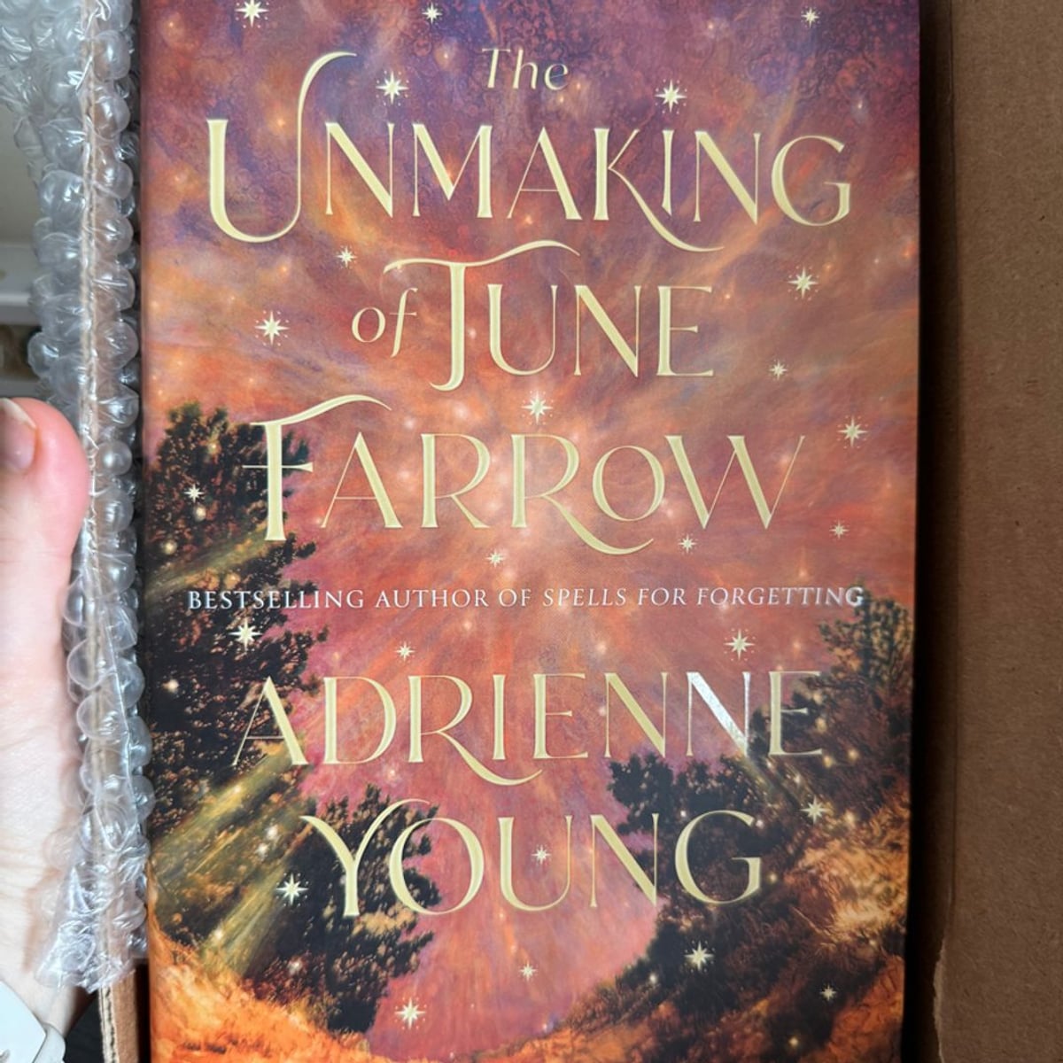 The Unmaking of June Farrow Fairyloot Edition by Adrienne Young ...