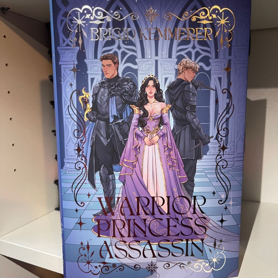 Warrior Princess Assassin by Brigid Kemmerer, Hardcover | Pangobooks
