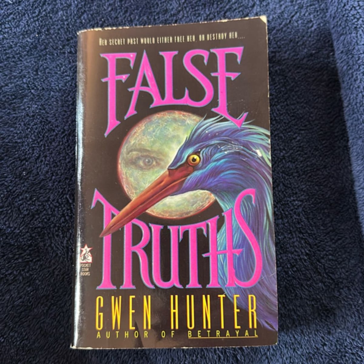 False Truths by Gwen Hunter, Paperback | Pangobooks