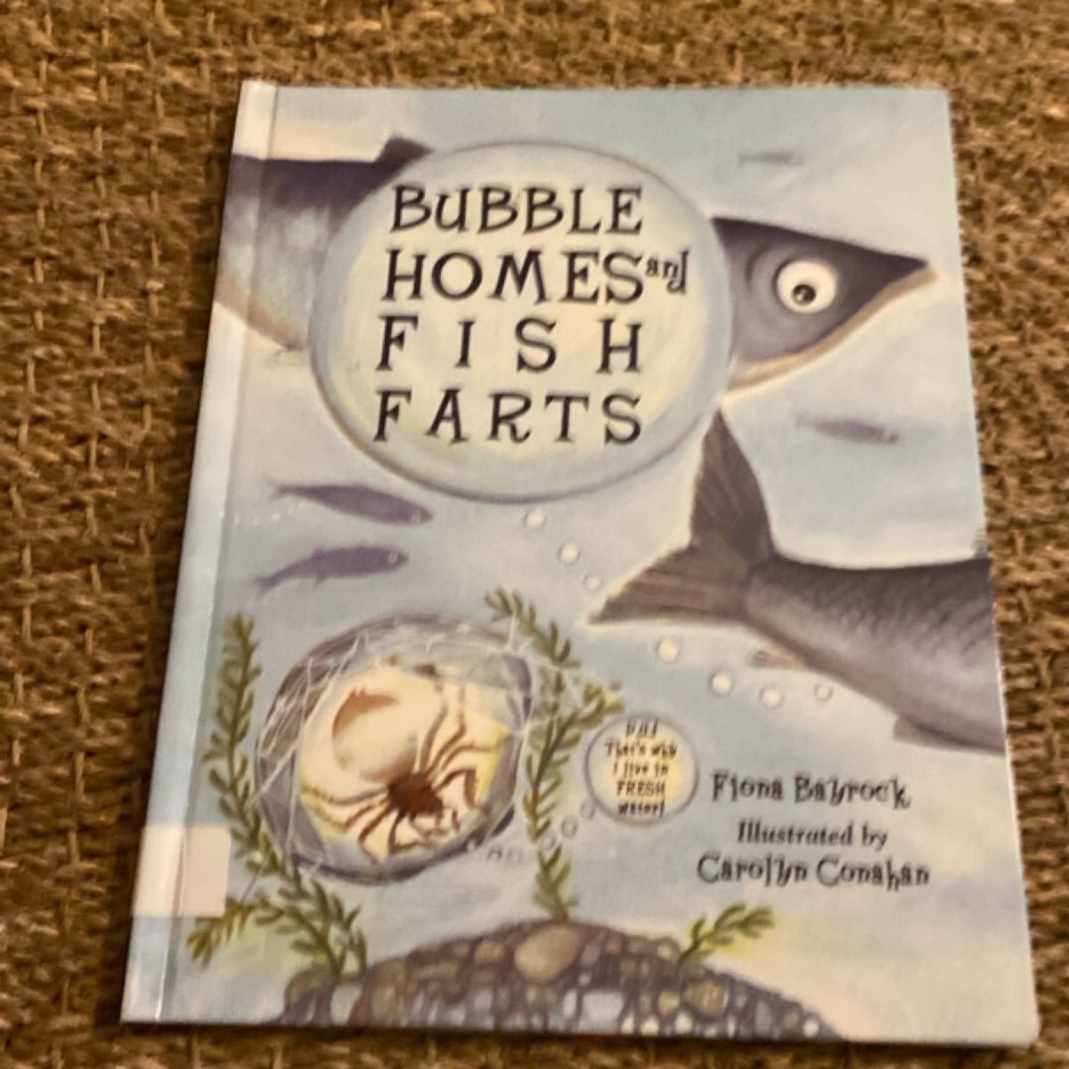 Bubble Homes and Fish FaRTs by Fiona Bayrock