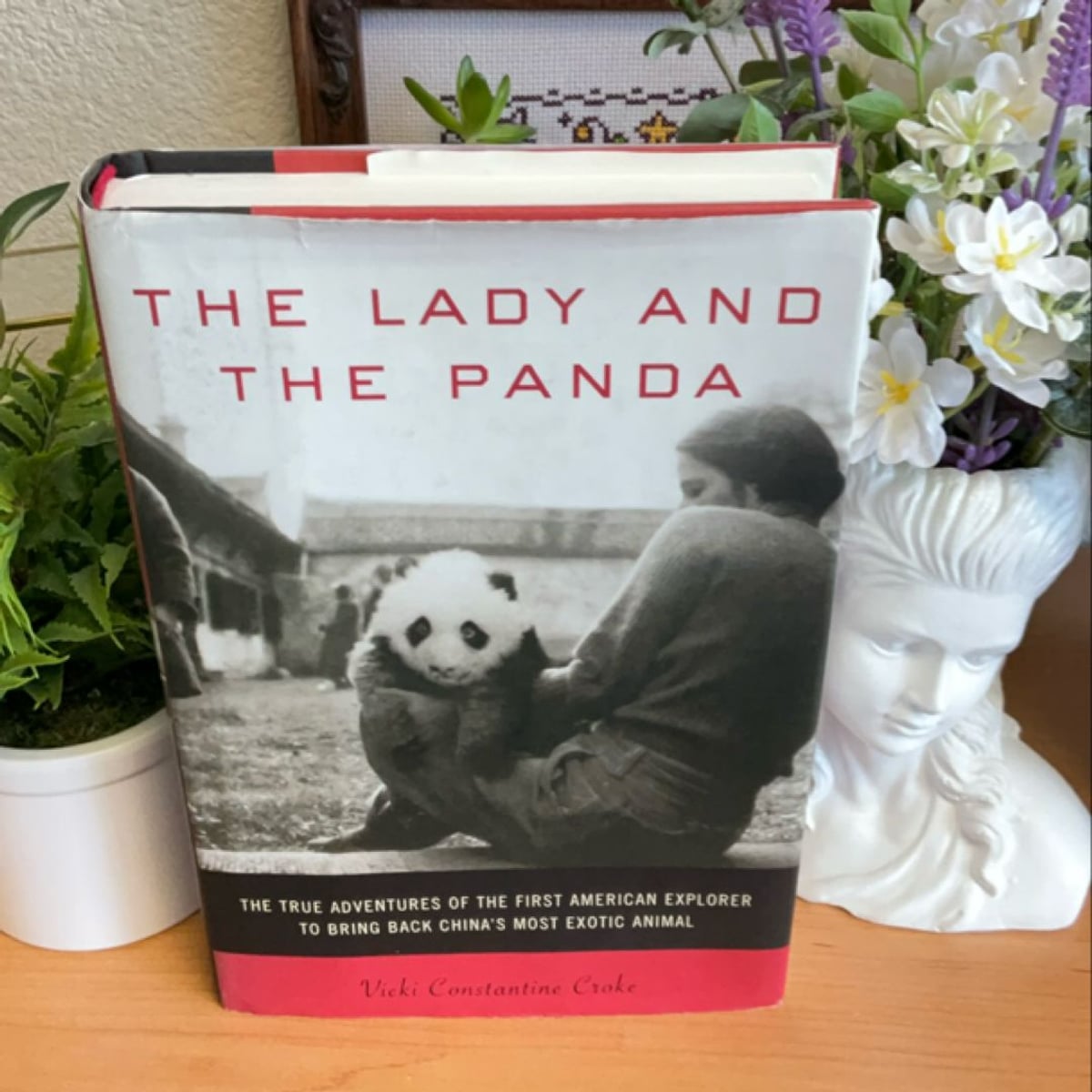 The Lady and the Panda by Vicki Croke