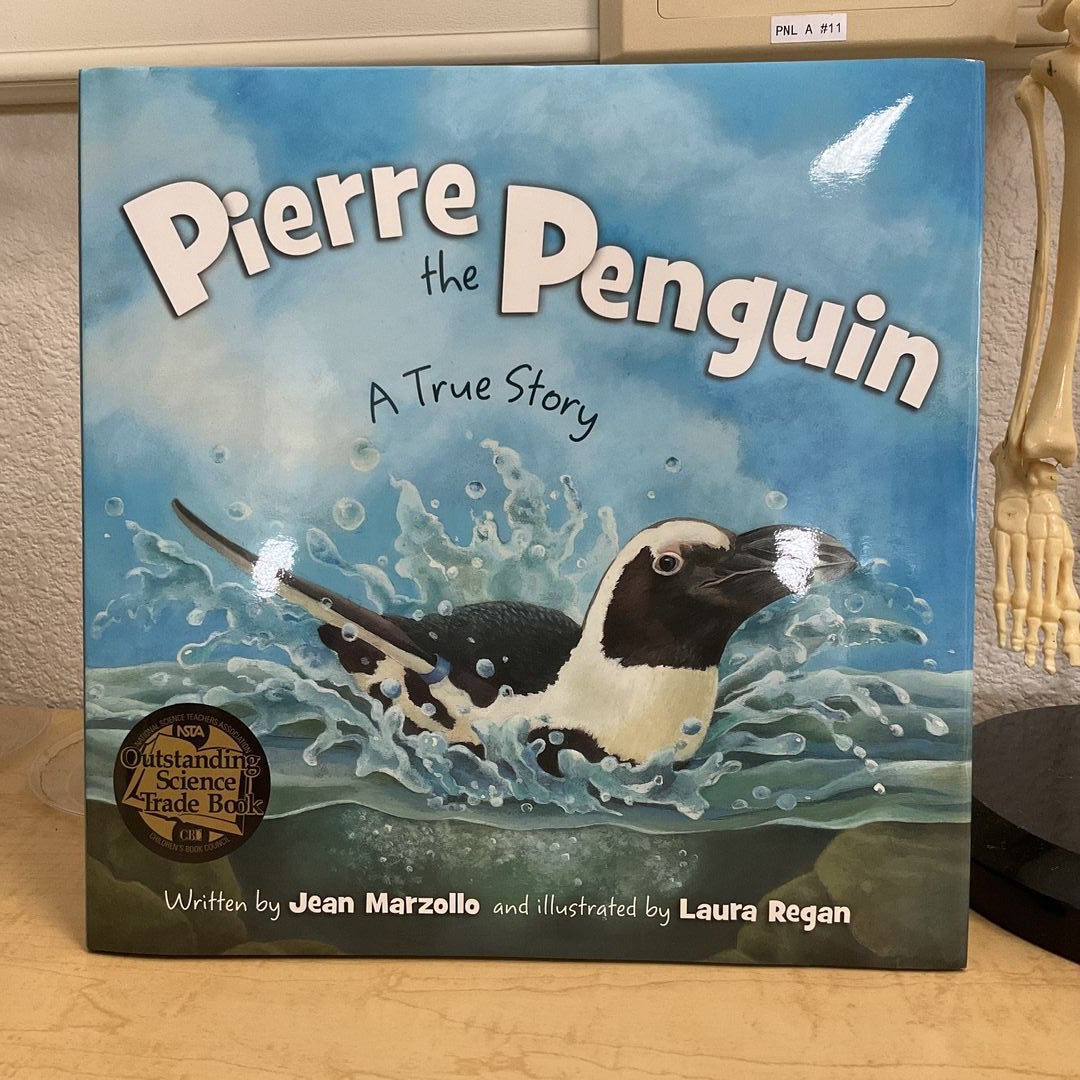Pierre the Penguin