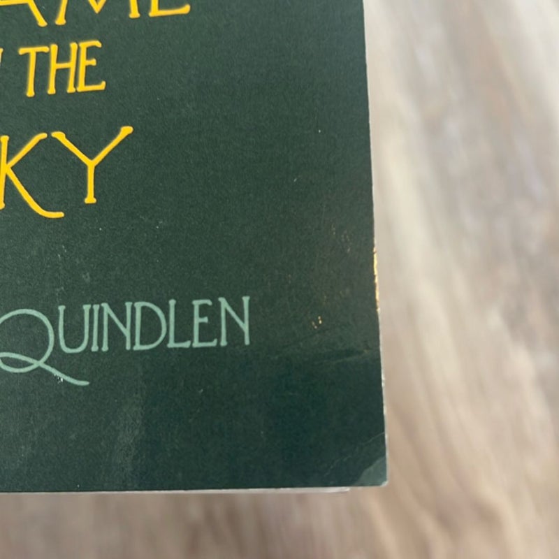 Her Name in the Sky by Kelly Quindlen