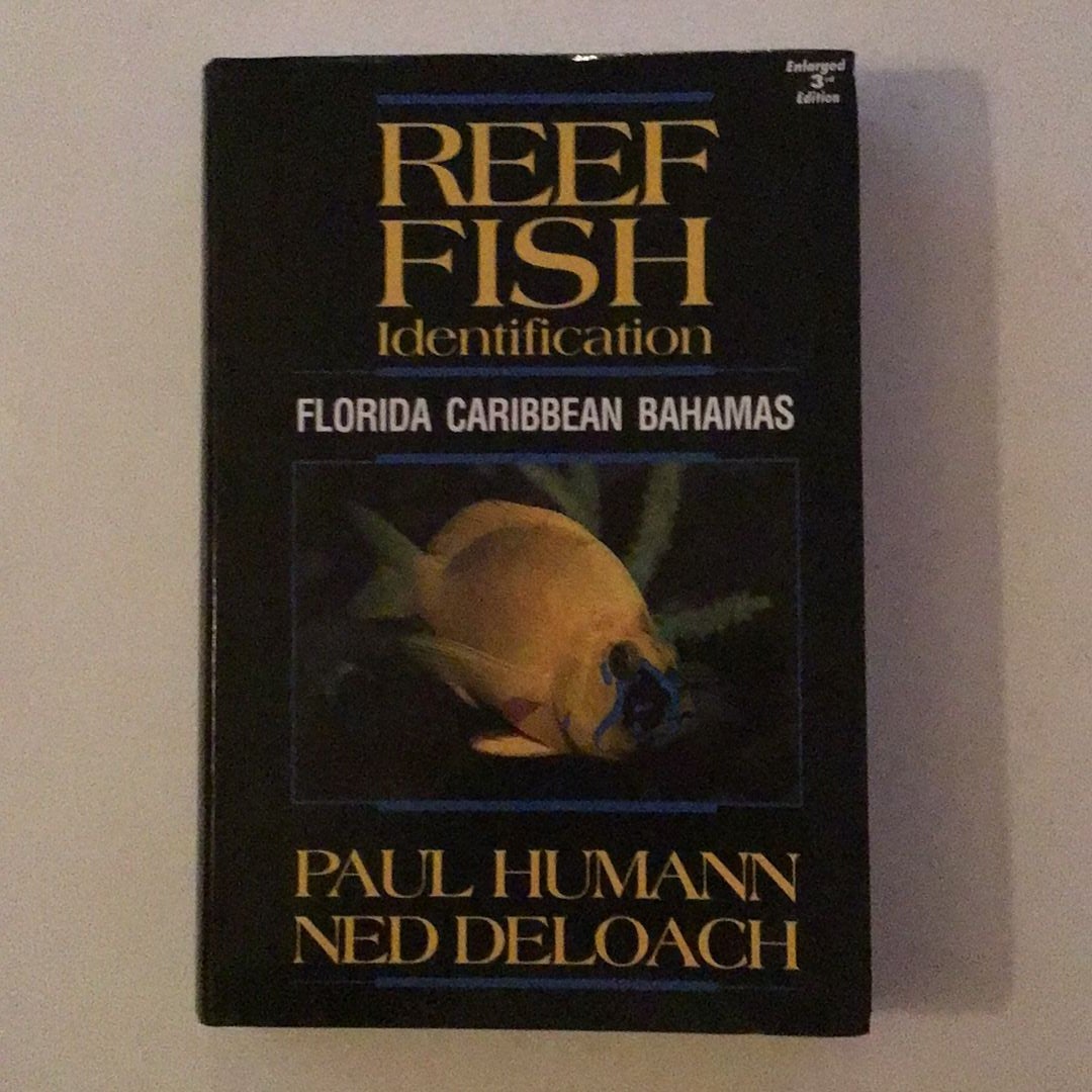 Reef Fish Identification Florida Caribbean Bahamas by Paul Humann ...