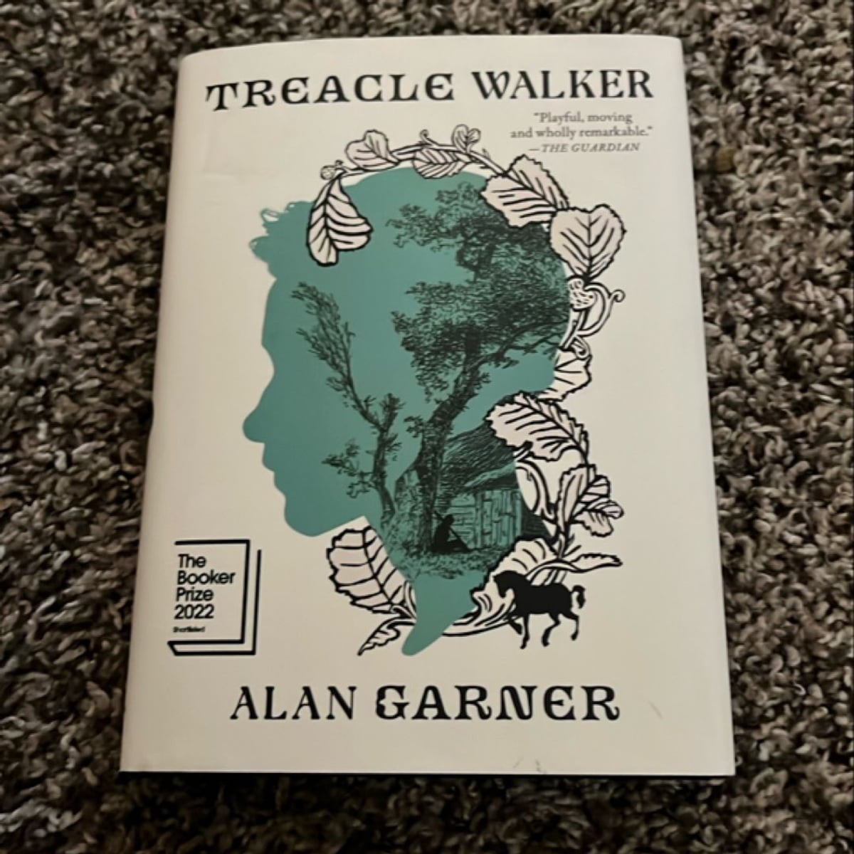 Treacle Walker by Alan Garner