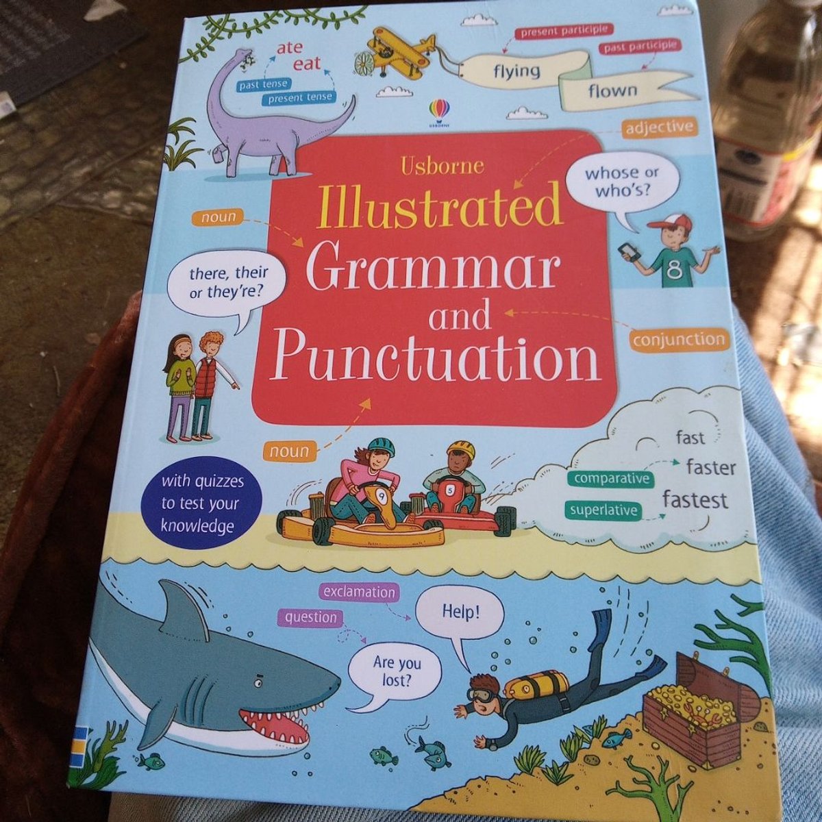 Illustrated Elementary Grammar and Punctuation by