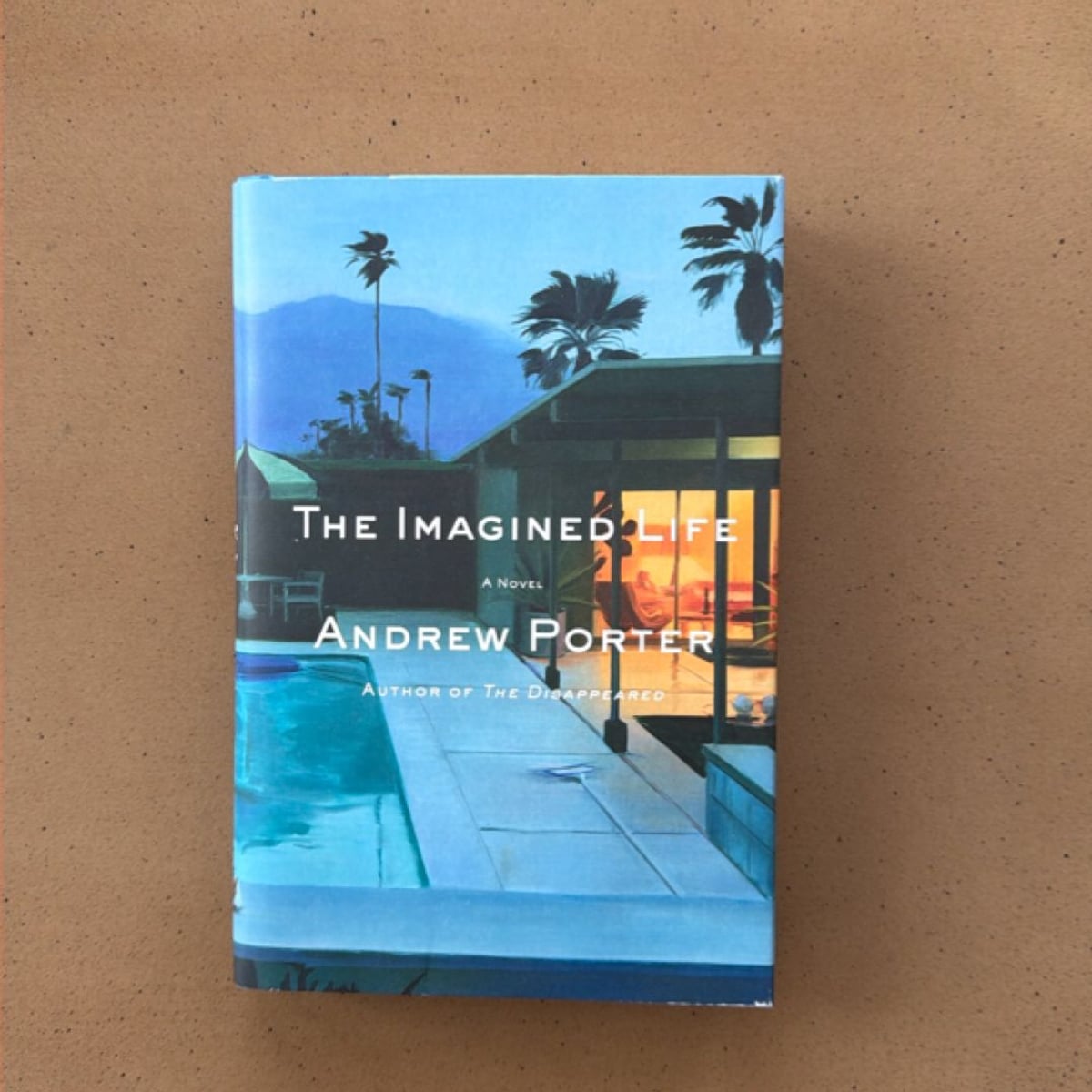 The Imagined Life by Andrew Porter