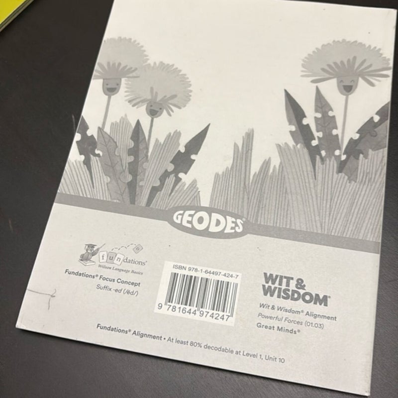 Geodes Level 1 My Geodes BW Book Compilation, Mod 3 Set 1 -- Spanish by ...