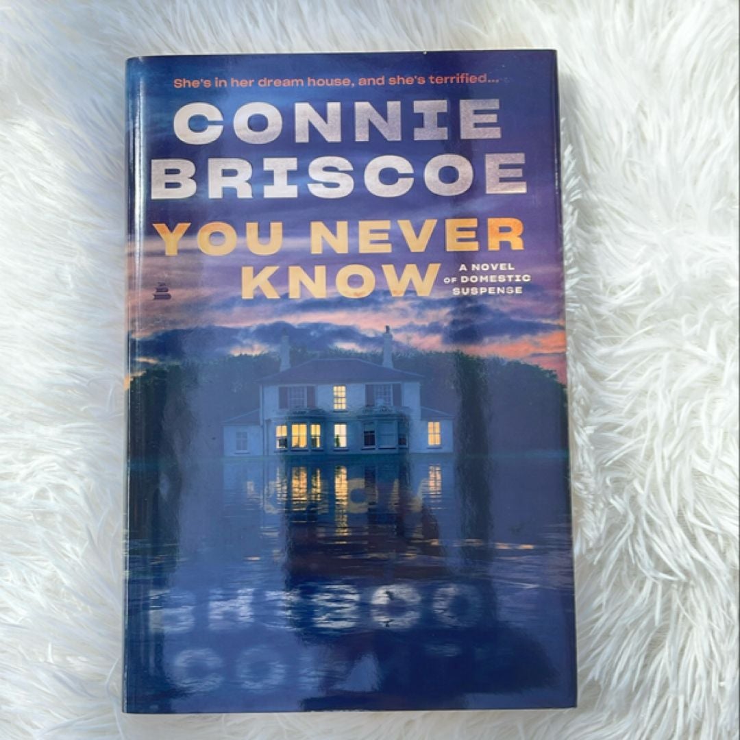 You Never Know by Connie Briscoe