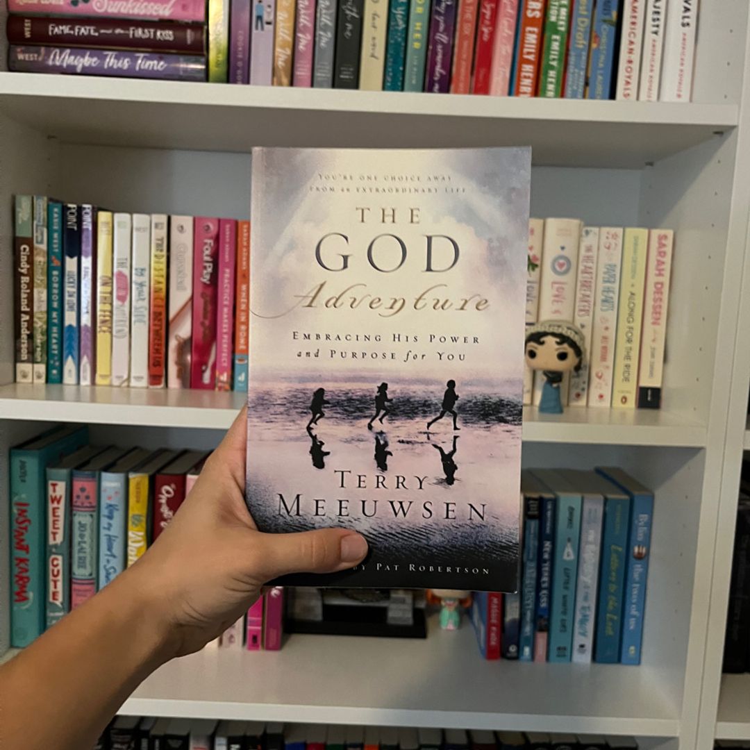 The God Adventure by Terry Meeuwsen