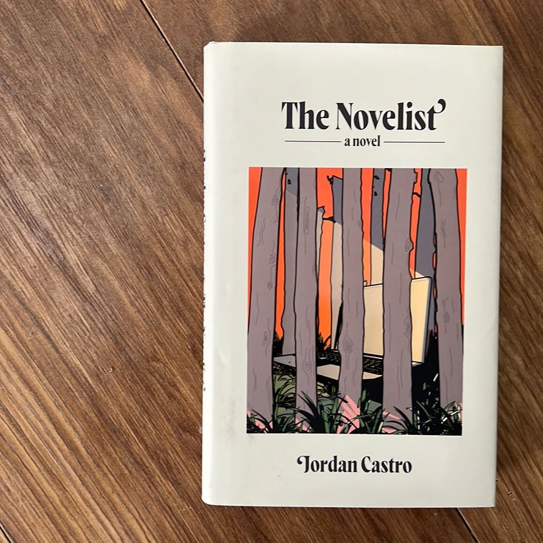 The Novelist by Jordan Castro, Hardcover | Pangobooks