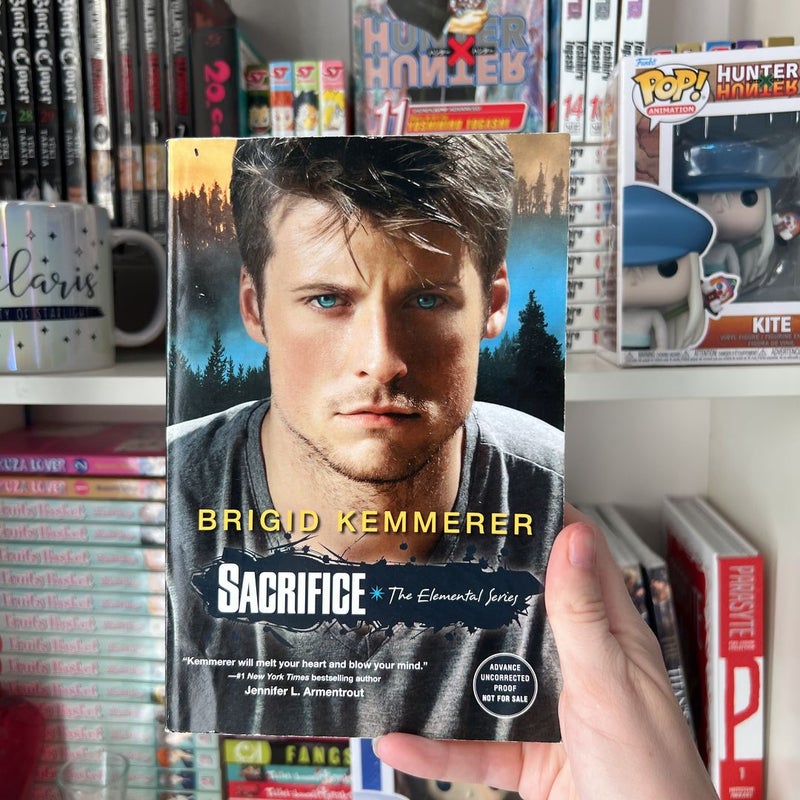 Sacrifice Elemental Series by Brigid Kemmerer