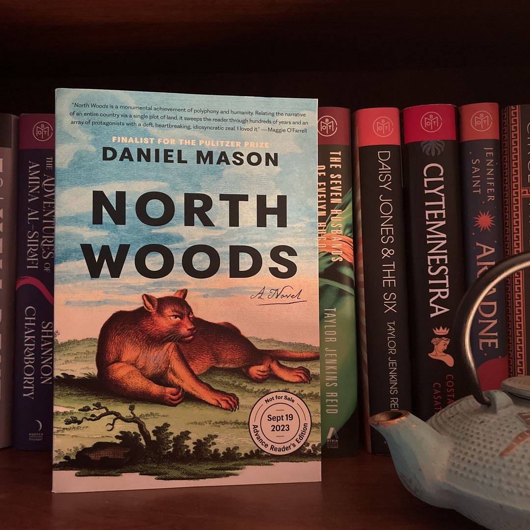 North Woods by Daniel Mason, Paperback | Pangobooks