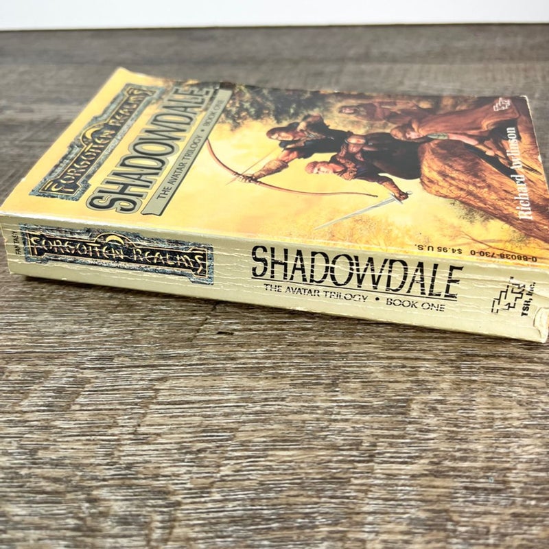 Shadowdale -Forgotten Realms by Richard Awlinson, Paperback | Pangobooks
