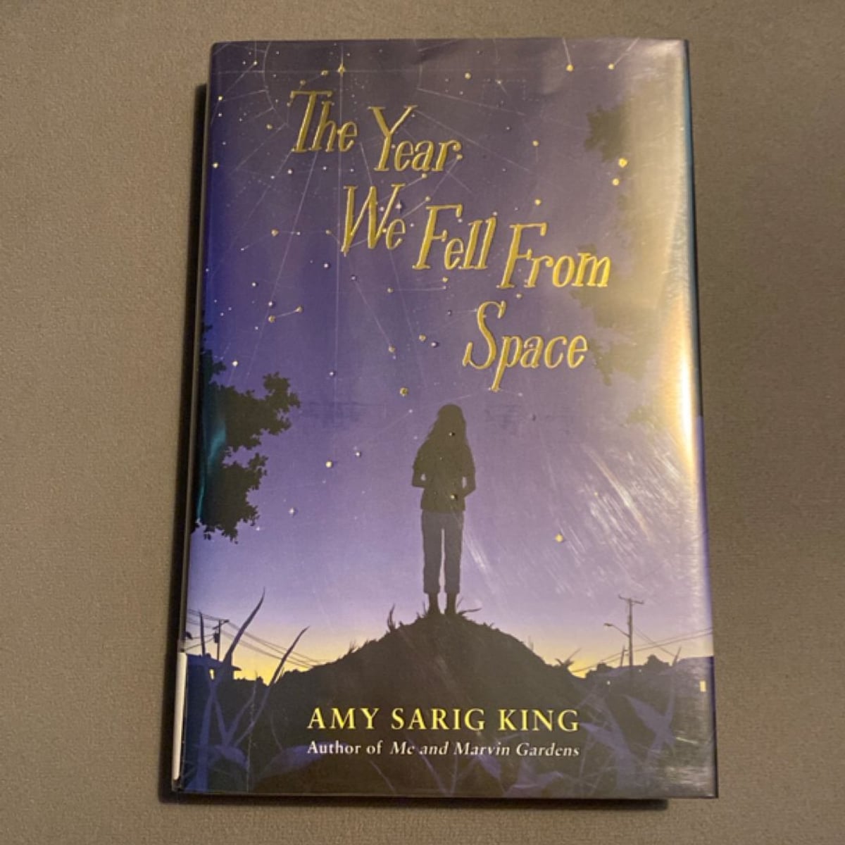The Year We Fell from Space by Amy Sarig King