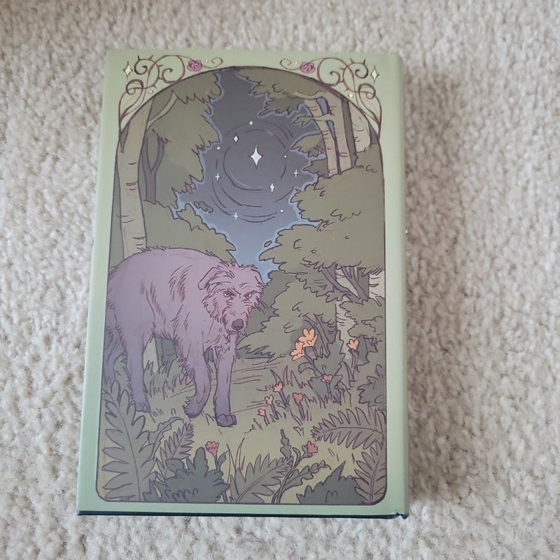 Until the stars fall by Vanessa Rasanen, Hardcover | Pangobooks