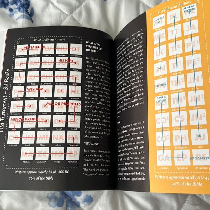 Visual Theology Guide to the Bible by Tim Challies, Paperback | Pangobooks