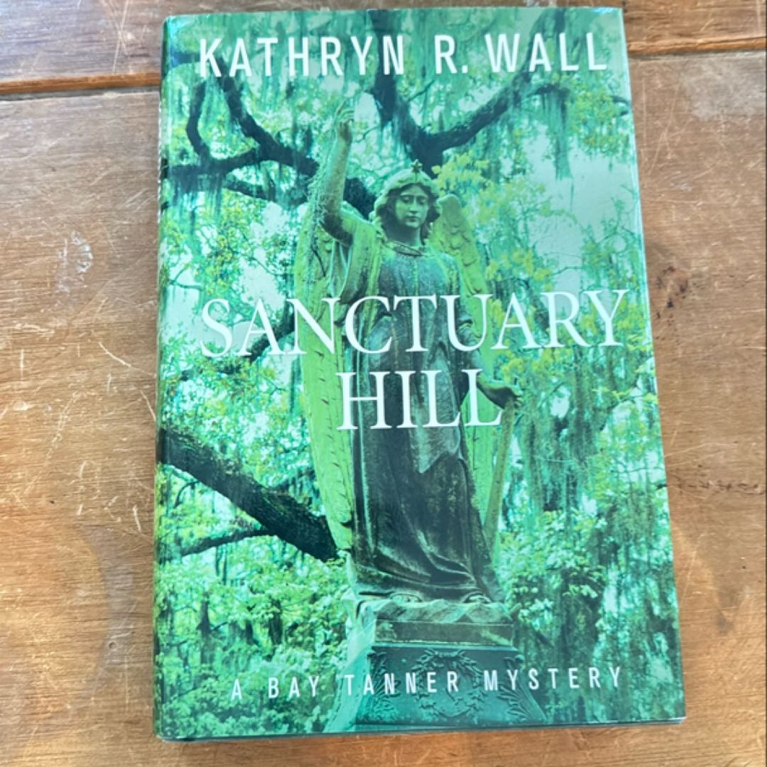 Sanctuary Hill by Kathryn R. Wall