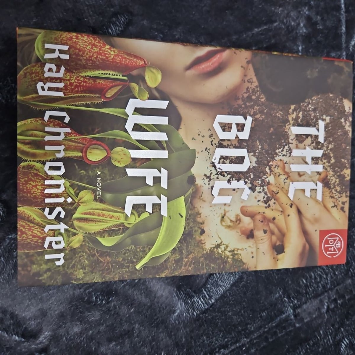 The Bog Wife by Kay Chronister