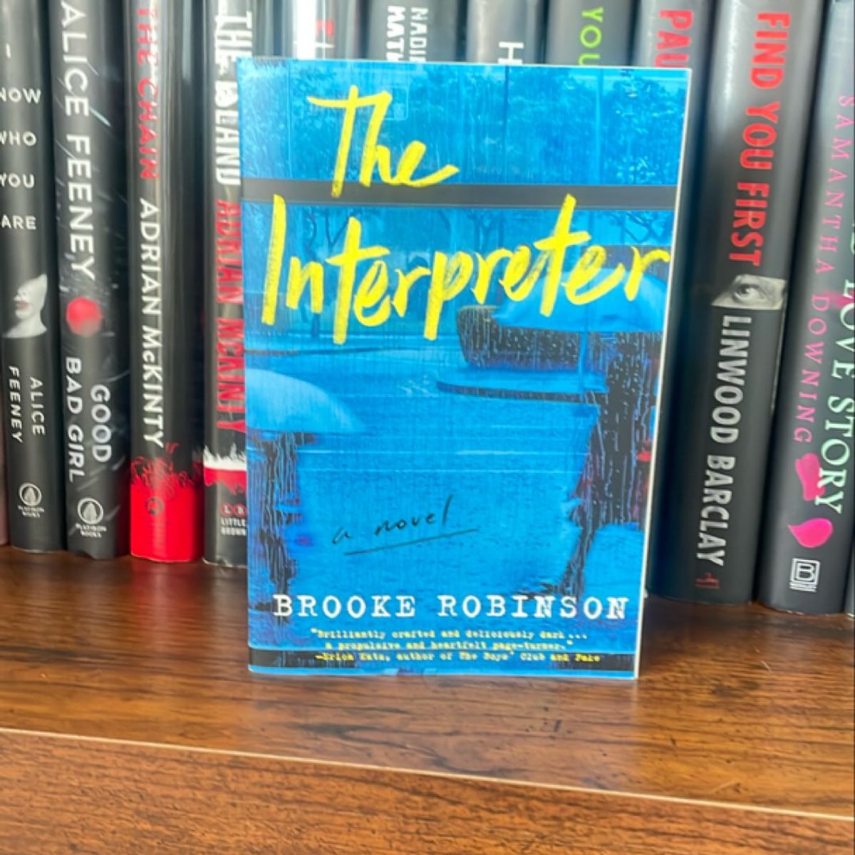 The Interpreter by Brooke Robinson