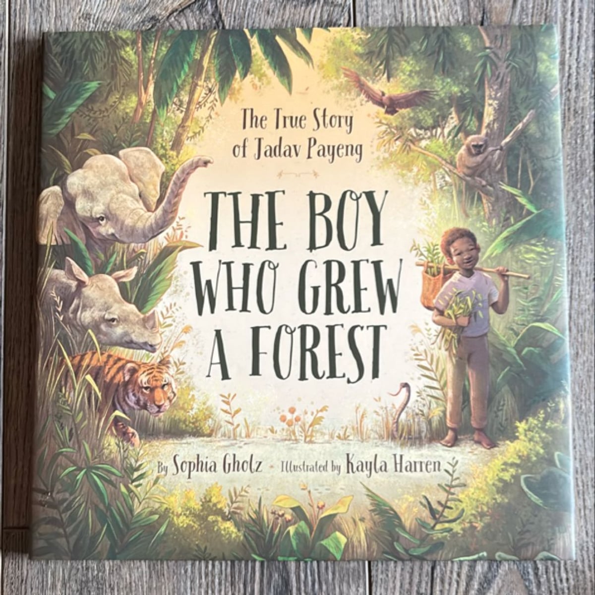 The Boy Who Grew a Forest by Sophia Gholz