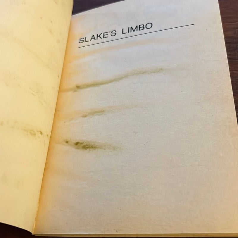 Slake’s Limbo by Felice Holman, Paperback | Pangobooks