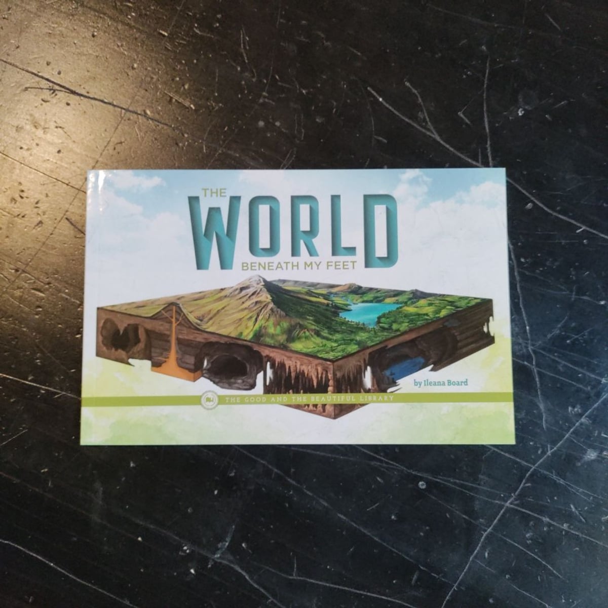 The World Beneath My Feet by jenny Phillips