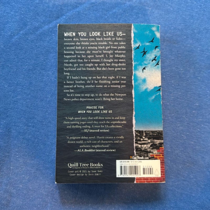 When You Look Like Us by Pamela N. Harris