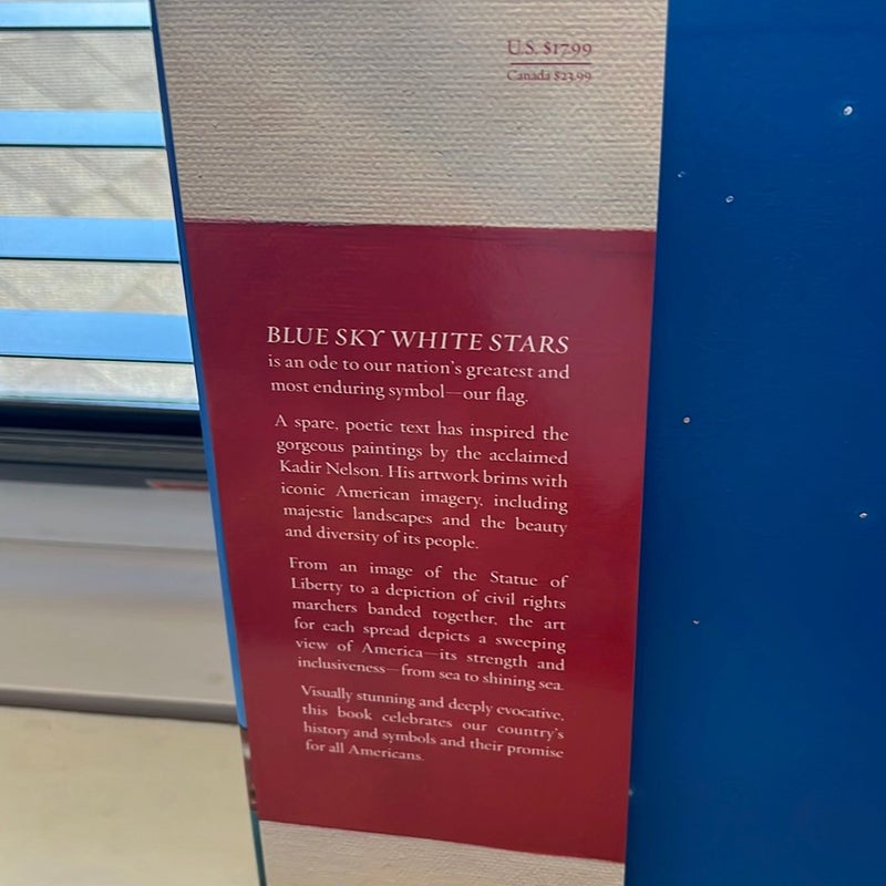 Blue Sky White Stars Bilingual Edition by Sarvinder Naberhaus