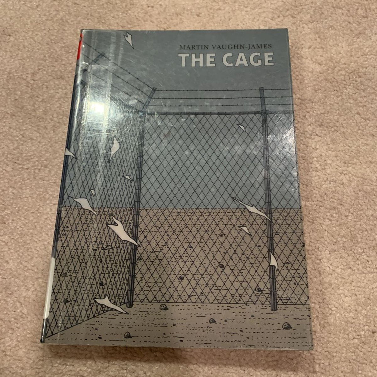 The Cage by Martin Vaughn-James, Seth
