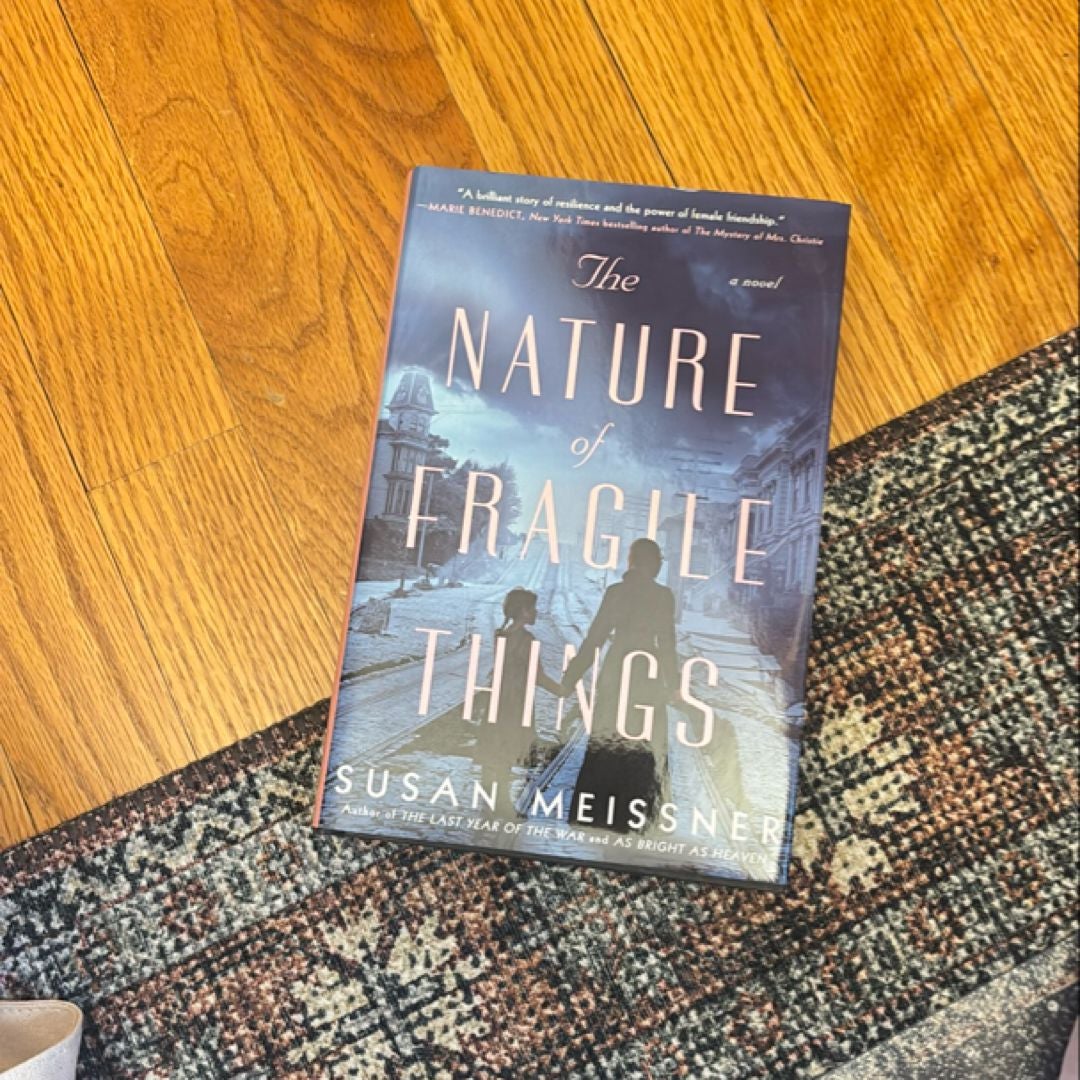 The Nature of Fragile Things by Susan Meissner