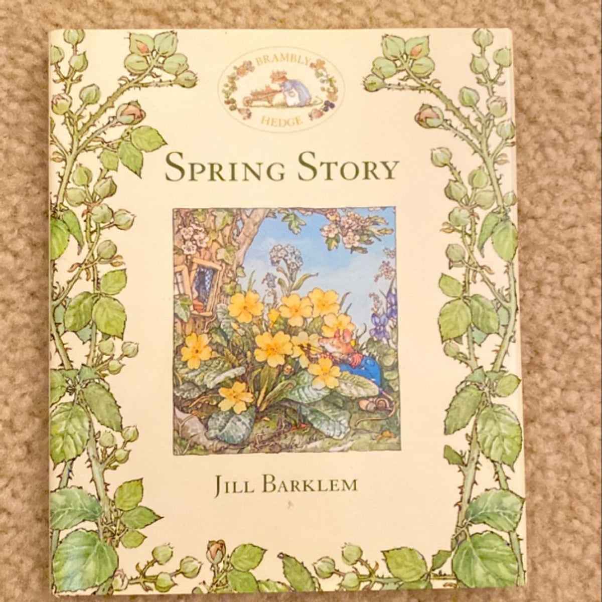 Spring Story (Brambly Hedge) by Jill Barklem, Hardcover | Pangobooks