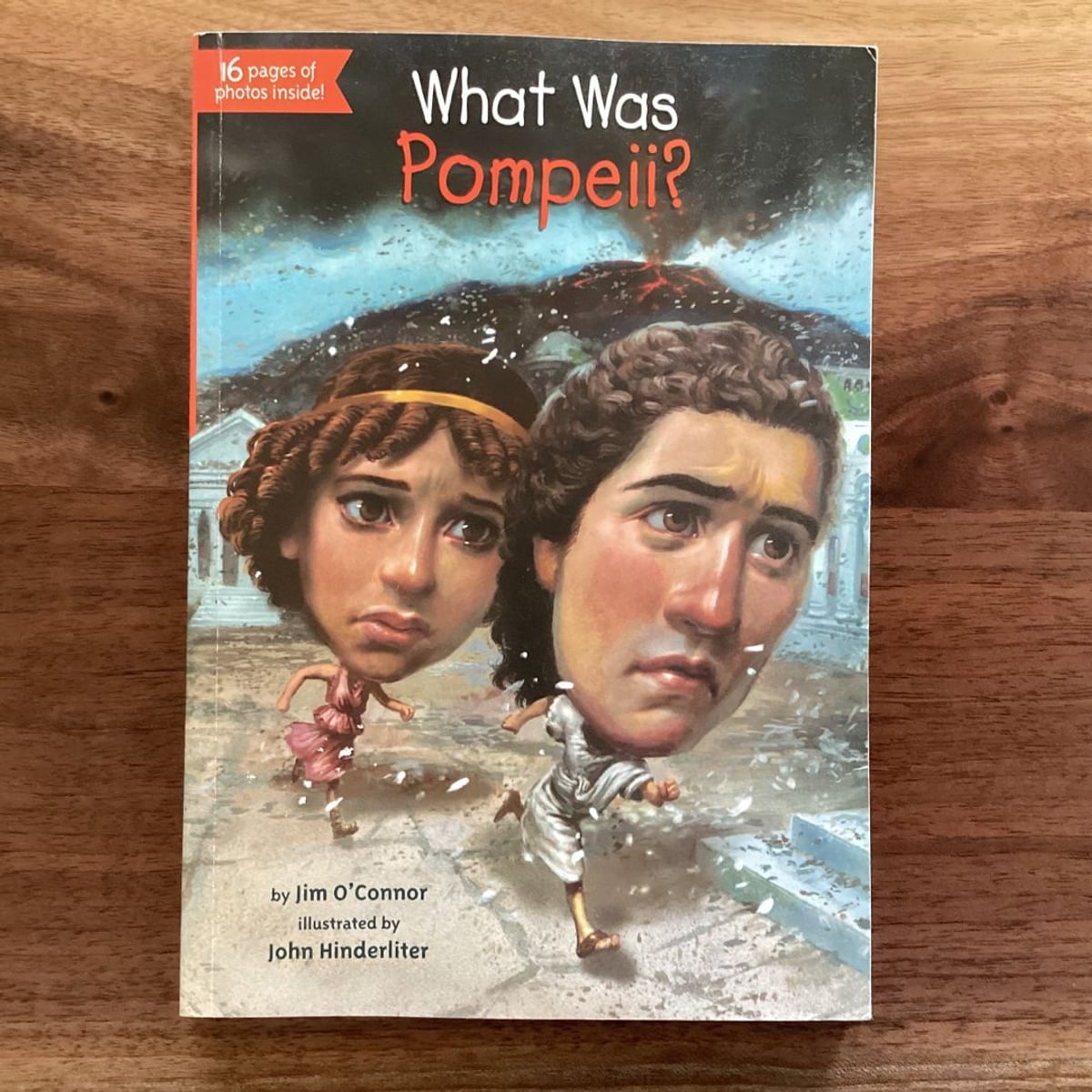 What Was Pompeii? by Jim O'Connor, Paperback | Pangobooks