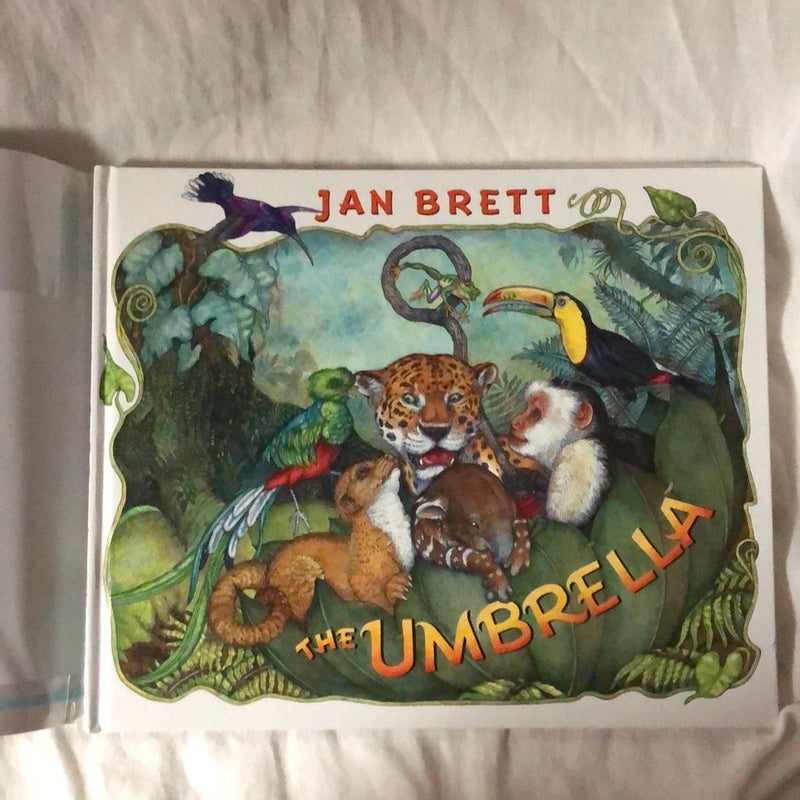 The Umbrella by Jan Brett, Hardcover | Pangobooks