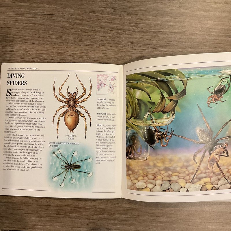 Fascinating World of Spiders by Maria Angels Julivert