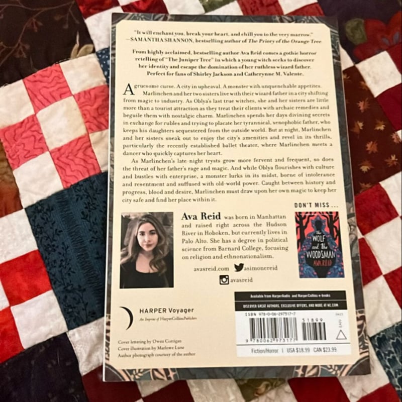 Juniper and Thorn by Ava Reid, Paperback | Pangobooks