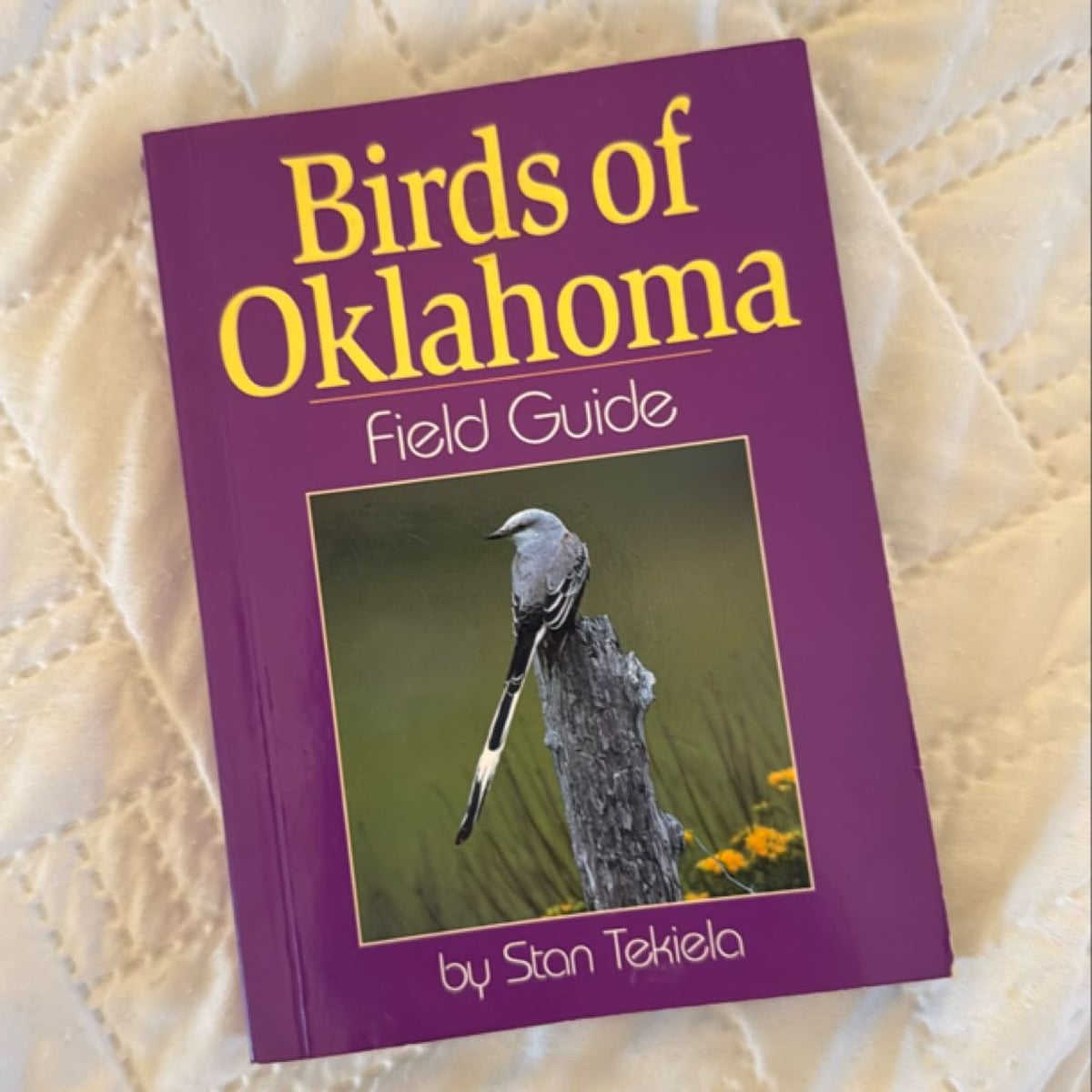 Birds of Oklahoma Field Guide by Stan Tekiela