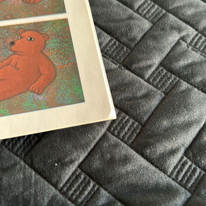 Good Night, Baby Bear by Frank Asch, Paperback | Pangobooks