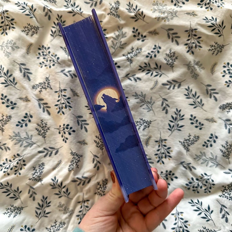 Fan Service (AFTERLIGHT EXCLUSIVE EDITION) by , Hardcover | Pangobooks