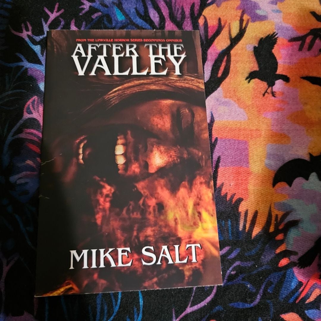 After the Valley by Mike Salt , Paperback | Pangobooks